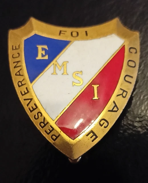 INSIGNE EMSI EQUIPES Médico Sociales Itinérantes EUR 30,00 - PicClick FR