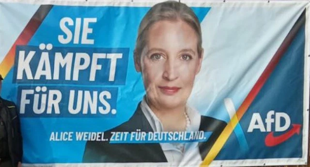 BANNER PLAKAT AFD Alice Weidel EUR 126,00 - PicClick DE
