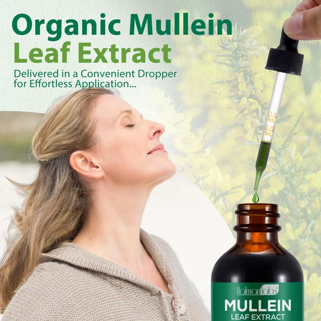 2 PACK MULLEIN Drops for Lungs, Mullein Leaf Extract with Chlorophyll ...
