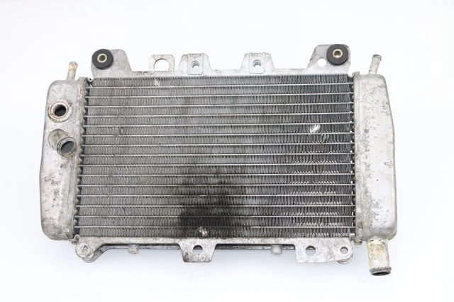 COOLANT RADIATOR - Piaggio X9 Evolution 125 ( 2003 - 2007) £47.26 ...