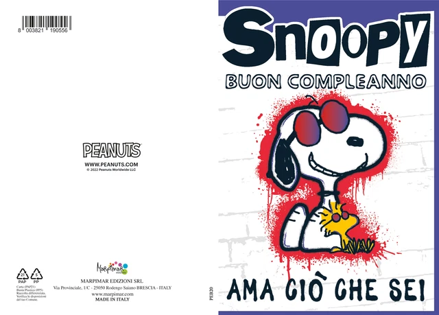 BIGLIETTO AUGURI COMPLEANNO Sagomato Snoopy Snoopy E Woodstock ...