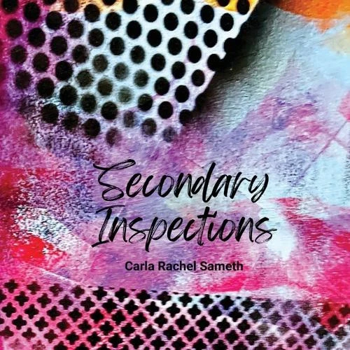 CARLA RACHEL SAMETH Secondary Inspections (Poche) EUR 19,24 - PicClick FR
