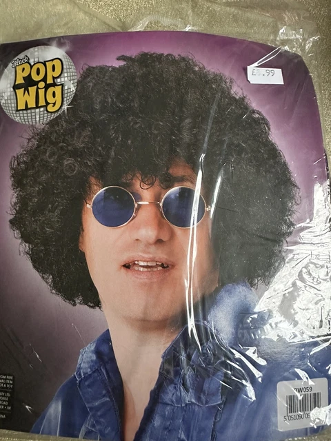 SCHWARZE POPPERÜCKE AFRO Frisur Erwachsene Einheitsgröße Disco 70er ...