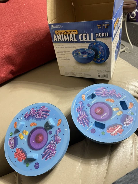 LEARNING RESOURCES CROSS Section Animal Cell Soft Foam Model LER 1900 £ ...