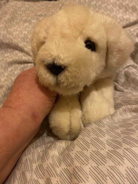 LOVELY LITTLE PLUSH Labrador Puppy By Simply Soft Collection Keel Toy ...