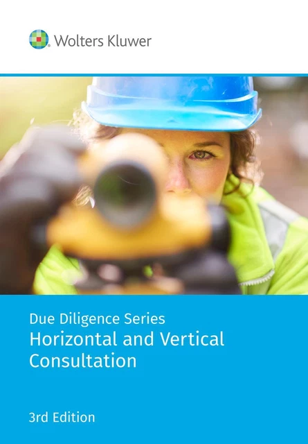 DUE DILIGENCE: HORIZONTAL and Vertical Consultation 3rd ed by Michael ...