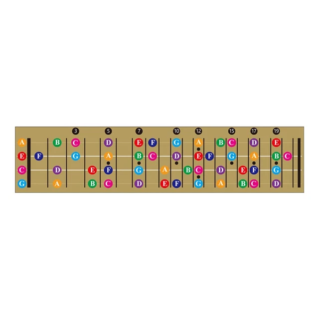UKULELE FRETBOARD NOTE Chart Fretboard Notes for Daily Use Performance ...