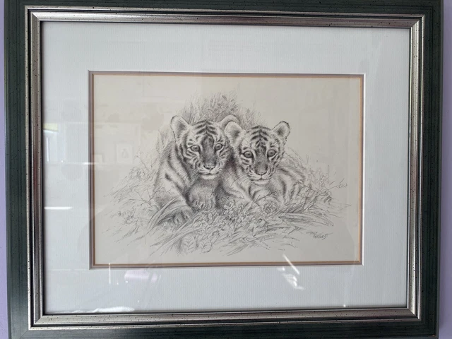 TONY FORREST ORIGINAL Pencil, Drawing Of Two Tiger Cubs . £315.00 ...