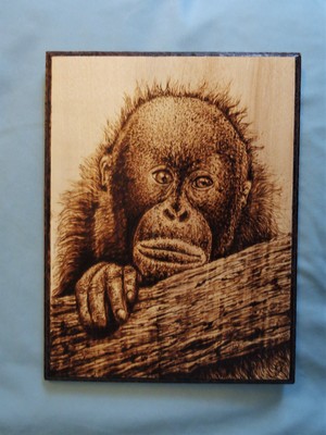 &MONKEYING AROUND& CUTE Baby Monkey/Orangutan Pyrography/Woodburning ...