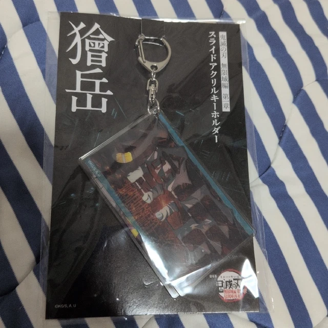 DEMON SLAYER: KIMETSU no Yaiba: Infinity Castle Edition: The Return of ...