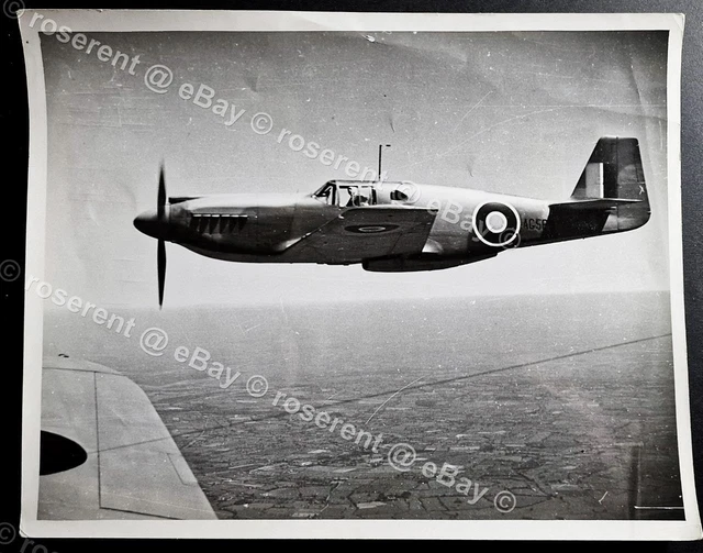 WW2 RAF NORTH American Mustang 1 serial AG 564- official Press photo 26 ...