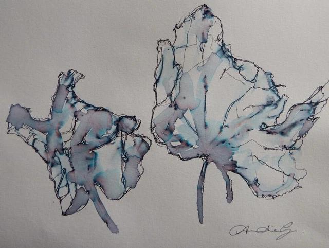 ORIGINAL PEN & ink wash drawing of two dried leaves on white ...