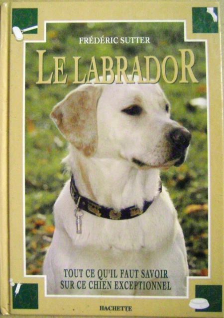LE LABRADOR TOUT ce qu'il faut savoir sur ce Chien exceptionnel /Z79 ...