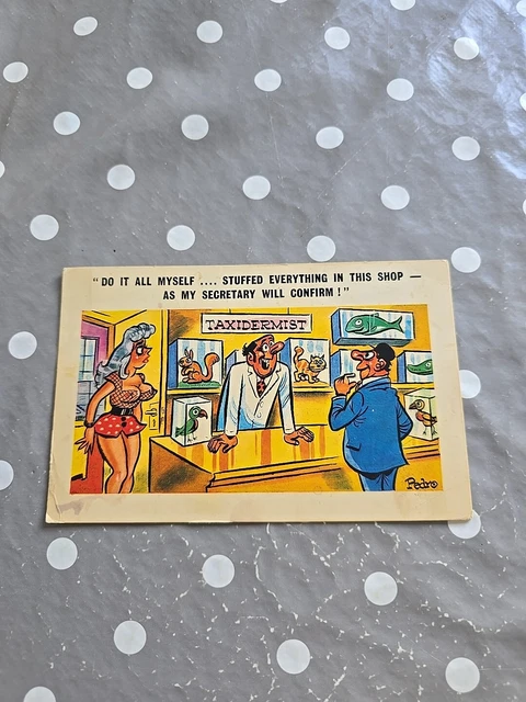 VINTAGE SAUCY SEASIDE Comic Postcard Sunny Pedro Series No 182 By Pedro ...