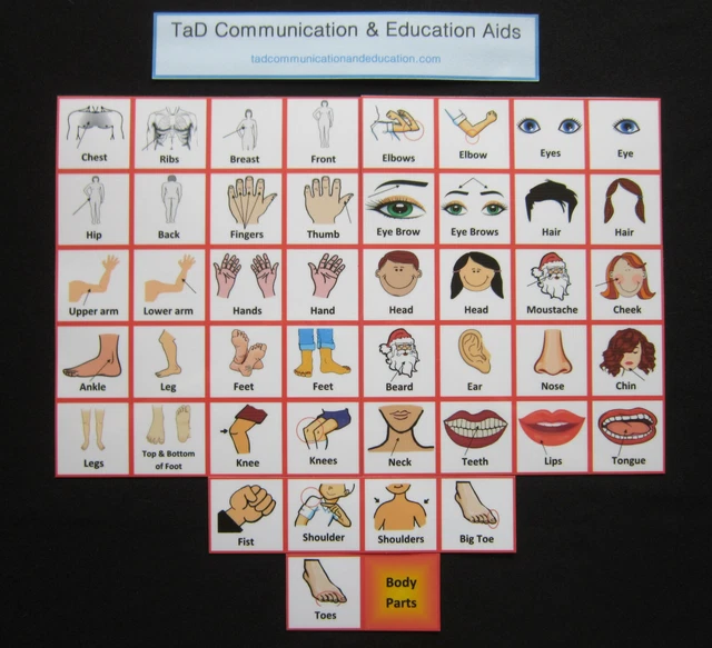 BODY PARTS PICTURE Cards - Autism/PECS/Non verbal/Early Yrs/Visual Aid ...