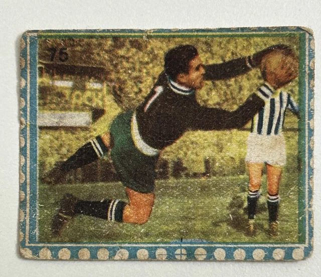 EDIZIONE CICOGNA 1953/54 calcio figurina nuova nr. 75 Viola Juventus (2) EUR 13,99 - PicClick IT