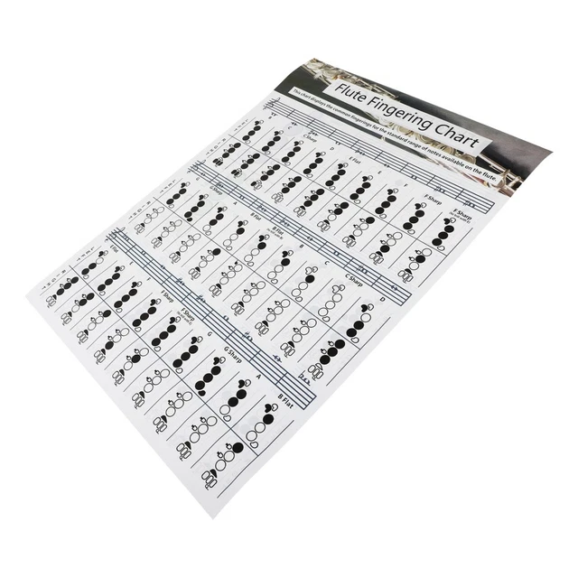FLUTE FINGERING DIAGRAM Chart Poster Useful Note Book for Beginners £7. ...