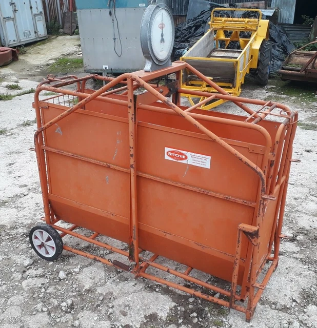 RITCHIE CALF/SHEEP/PIG WEIGHER/ weigh scales, handling system, IAE ...