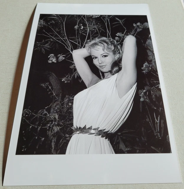 Schauspielerin Mylene Demongeot Film Star Foto Im Format Ca 13 X 19 Cm