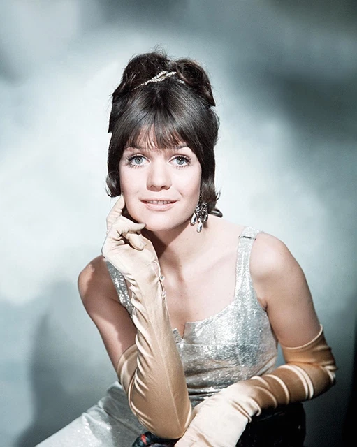 SALLY GEESON CARRY On Abroad 10" x 8" Photograph no 57 £4.00 - PicClick UK