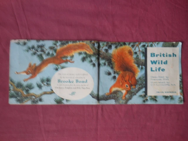 BRITISH WILD LIFE Brooke Bond Tea cards 1958 X50 set in album GD/VGC £2 ...