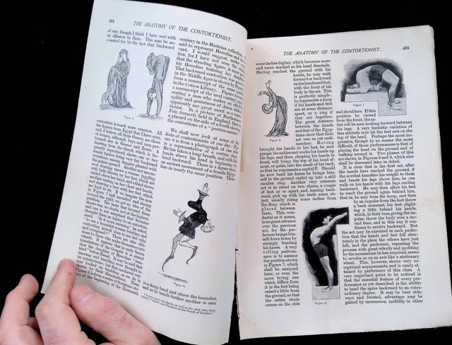 &THE ANATOMY OF The Contortionist" Great Illustrations Scribner's 1889 ...