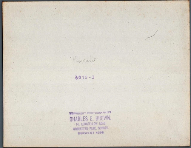 MARTIN B-26 MARAUDER Formation Usaf Large Vintage Original Charles E ...