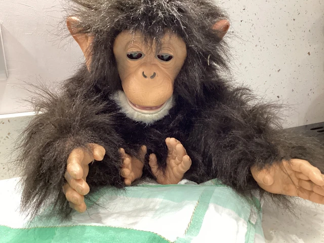 HASBRO CUTE CUDDLE Chimp Battery Operated Interactive £45.43 - PicClick UK