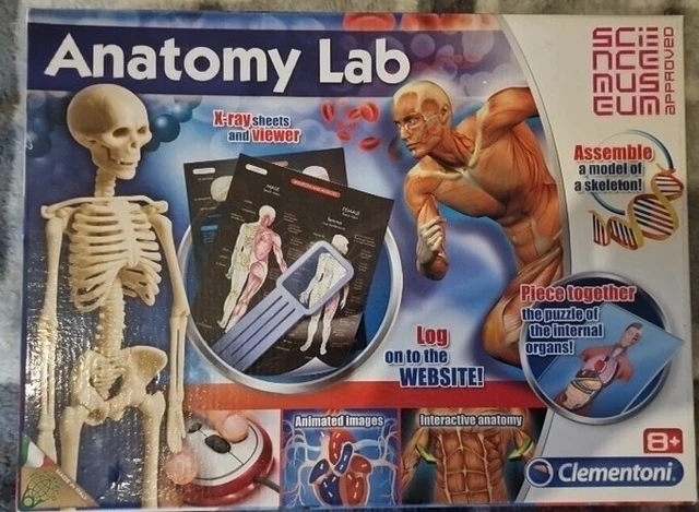 ANATOMY LAB SKELETON Xray Sheets And Viewer £11.00 - PicClick UK