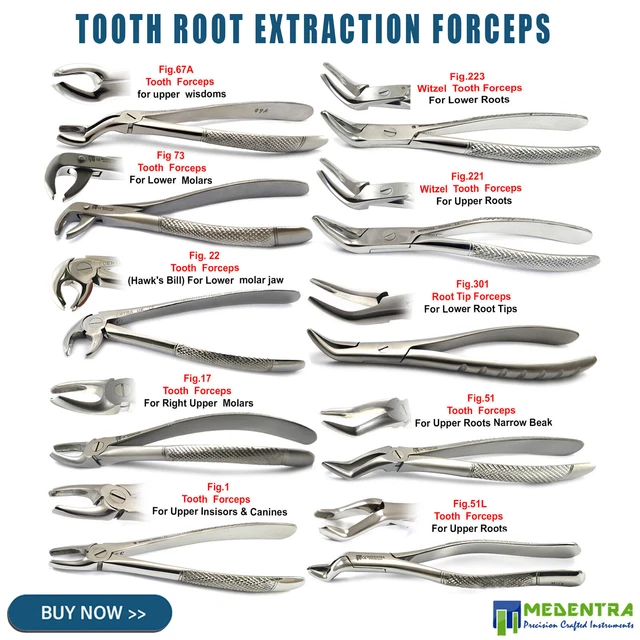 TOOTH FORCEPS EXTRACTING Extraction Root Loosening Lower Upper Molars ...
