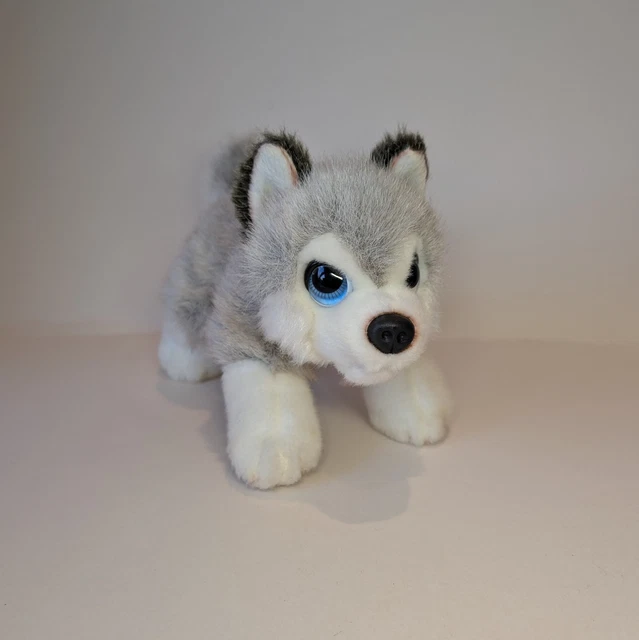 KEEL TOYS CUDDLE Puppies Husky Plush Dog Cuddly Toy Puppy Blue Eyes ...