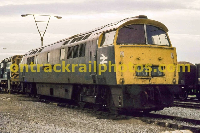 UK RAILWAY PHOTOGRAPH Of Class 52 Western D1010. Rm52-28 £1.70 ...