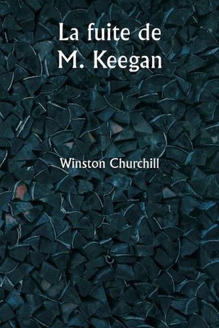 THE SETTLERS: A Tale of Virginia (Edition1) by Winston Churchill ...