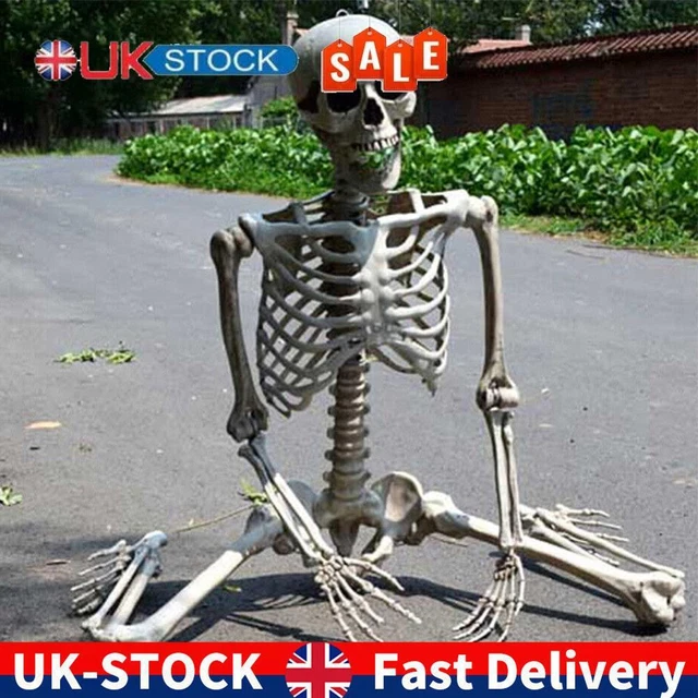 FULL LIFE SIZE Human Skeleton Halloween Prop Poseable Halloween Party ...