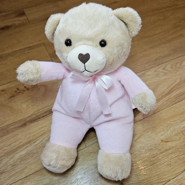 PMS LOCAL FREEMASONS TLC Appeal pink teddy bear soft toy plush Teddies ...