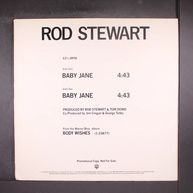 ROD STEWART : bébé jane / même WB 12" Single 33 tr/min EUR 8,99 ...