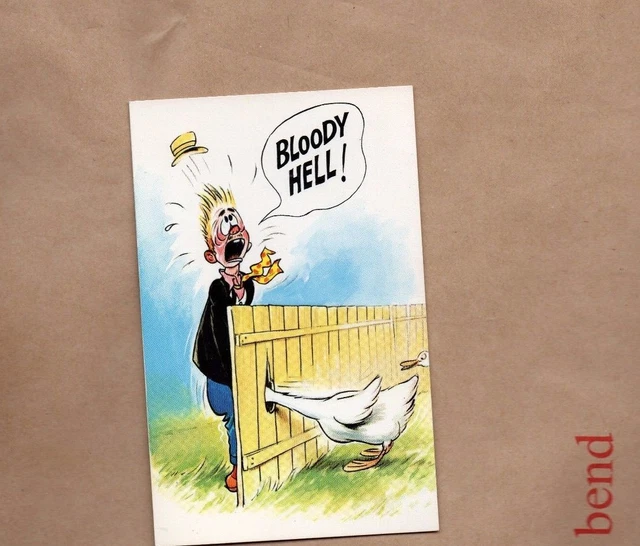 BAMFORTH RISQUE COMIC Postcard No160 Man being Pecked by Goose unposted ...