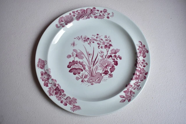 VERY RARE WEDGWOOD Fo Etruria & Barlaston Sample Dinner Plate X 1 £51. ...