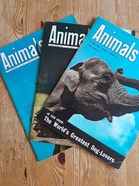 3 X VINTAGE 1963 Animals magazines published by Armand Denis £12.99 ...
