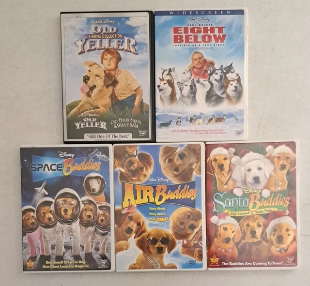 DISNEY LIVE ACTION Dogs DVD Lot Of 5. Buddies, Old Yeller, Eight Below ...