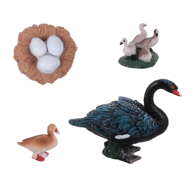 SWAN LIFE CYCLE Miniature Figurines Farm Growth Model Science Toys for ...