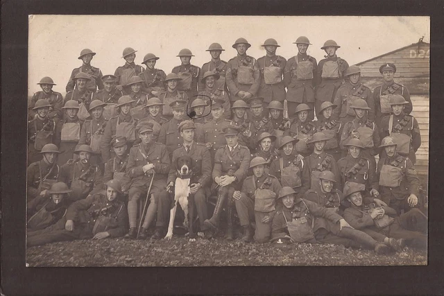 FIRST WORLD WAR-ROYAL Artillery Platoon-Full Kit-Dog-Great Dane Mascot ...