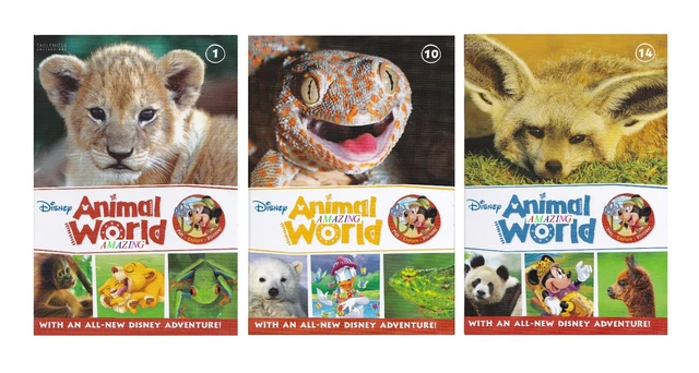 DISNEY ANIMAL WORLD Exploration, Education & Story Books Mickey Mouse ...