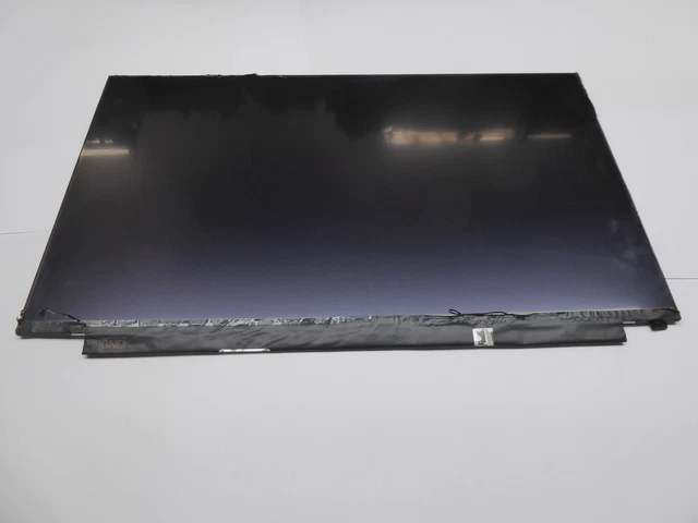 AU OPTRONIC B156HAK02.0 15,6 Affichage Mat 1920 x 1080 30Pol. R EUR 100 ...