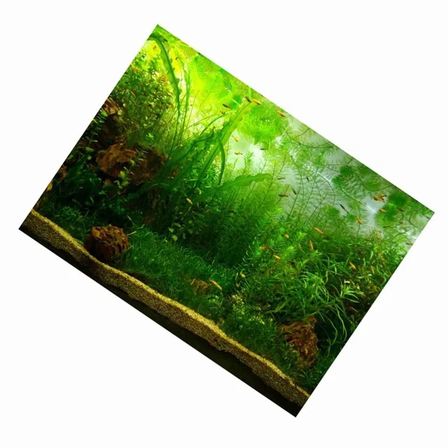 PVC FISH TANK Poster Water Grass Style PVC Adhesive Decor Aquarium $19. ...