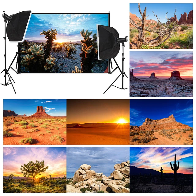 5X3FT/7X5FT DESERT GOBI Cactus Photography Background Studio Props ...