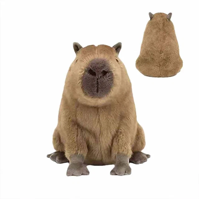 CAPYBARA PLUSH REALISTIC Animals Stuffed Toy Lovely Stuffed Capybara ...