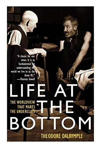 LIFE AT THE Bottom: The Worldview That Makes the Underclass £10.71 ...