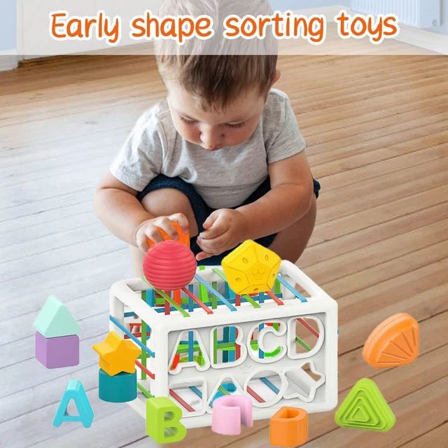 BABY SHAPE SORTING Toy Educational Sensory Sorting Toy For Babies ...