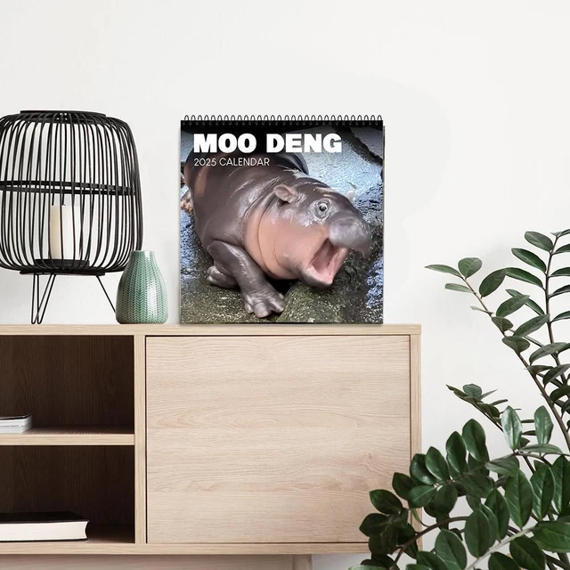 2025 MOO DENG Calendar, 2025 Moo Deng Pygmy Hippo Monthly Wall Calendar ...